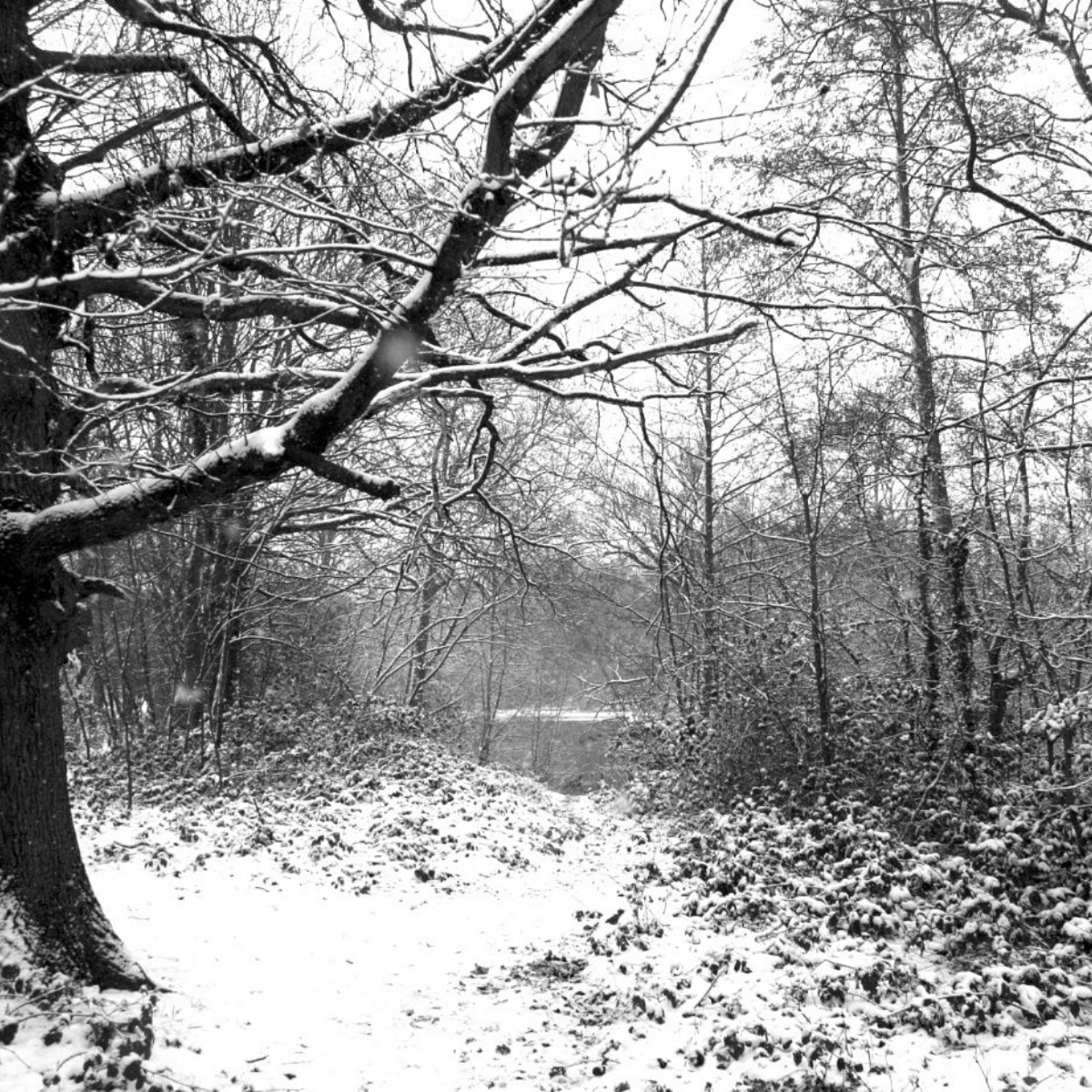 Aldersbrook Primary School - School is open as usual today. Please be ...